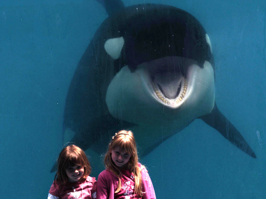 22 Photos That Prove You Have Thalassophobia (Fear of Deep Water) – Page 19