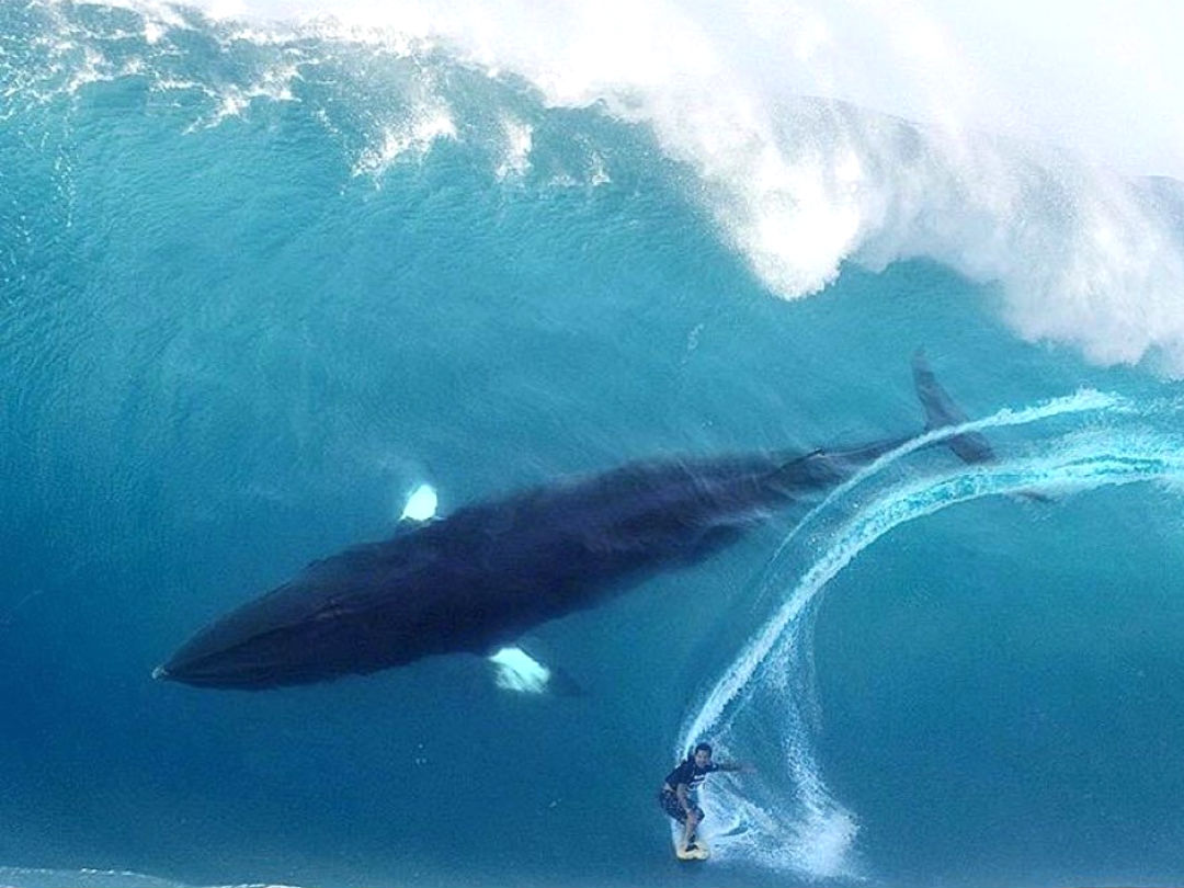 22 Photos That Prove You Have Thalassophobia (Fear of Deep Water) – Page 21