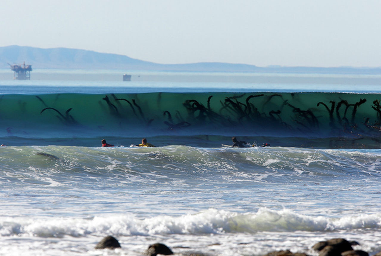 Photo Proof You Have Thalassophobia: Fear of Deep Water