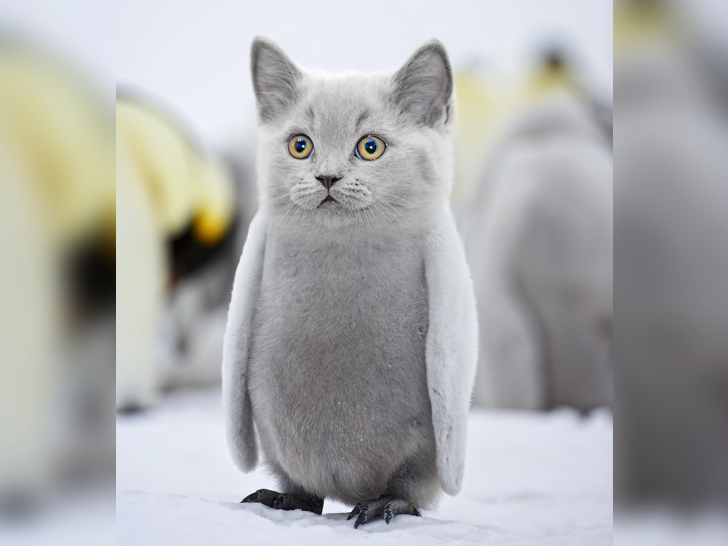 Engineer Digitally Created the Wildest Animal Hybrids Ever Seen – Page 12